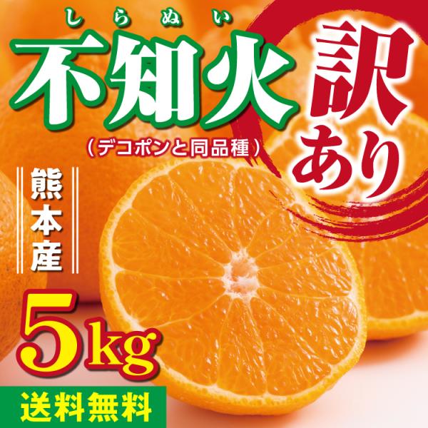 ■内容量： 1箱/ 不知火 5kg 　M〜2L　訳あり 家庭用■産地： 熊本県宇土市■発送： ご注文確認後３〜７営業日で出荷します。※北海道、沖縄はお届けできません。ご了承ください。※収穫状況、気象条件によりお届けが予定より前後する場合がご...