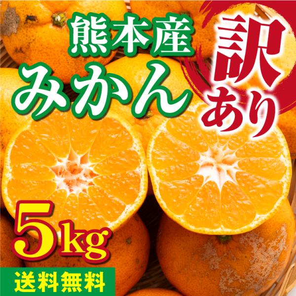 ■内容量：1箱/ 熊本産温州みかん 5kg 　S M L　訳あり 家庭用■産地： 熊本県宇土市■発送： ご注文確認後３〜７営業日で出荷します。※北海道、沖縄はお届けできません。ご了承ください。※ご注文の前にご確認ください※※サイズ不揃い・黒...