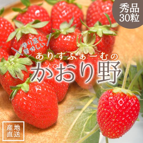 ◆品名ありすふぁーむのイチゴ「かおり野」◆商品紹介静岡県島田市の「ありすふぁーむ」さんの完熟いちご「かおり野」です。香り高く、甘味と酸味の絶妙なバランスが美味しい「かおり野」。贈答用としてのご利用に非常におすすめです。◆内容量30粒◆賞味期...