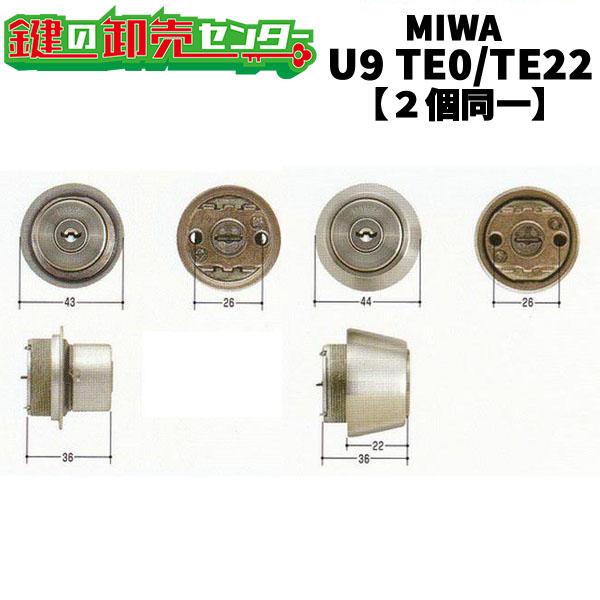 通常在庫品。在庫切れの場合折り返しご連絡しております。お急ぎのお客様は前もって納期のご確認をお願いいたします。色はST（シルバー）色になります。TE0シリンダーとTE22シリンダーの同一になります。シリンダーは2個同一キーシリンダー（シリン...