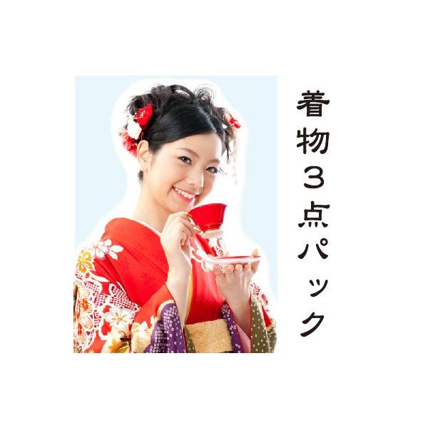 着物クリーニング３点パック　和服　丸洗い、しみ抜き　組合わせ自由（着物各種、帯各種、長じゅばん各種）