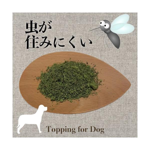 【原材料】フラックスシード（オレゴンティルス認証オーガニック　カナダ）サンフラワーシード（オレゴンティルス認証オーガニック　アメリカ）ゴボウ（農薬と化学肥料不使用　宮崎）大麦若葉（オレゴンティルス認証オーガニック　島根)ネトル（オレゴンティ...