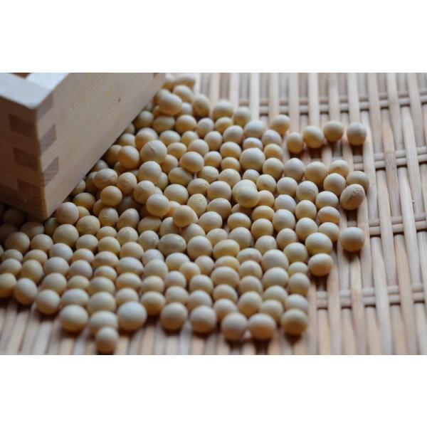 北海道を代表する、とよまさり大豆を農薬・化学肥料を使わず丁寧に一粒一粒育てた無農薬栽培大豆！煮豆、お味噌や豆乳におススメ。レシピ付き!