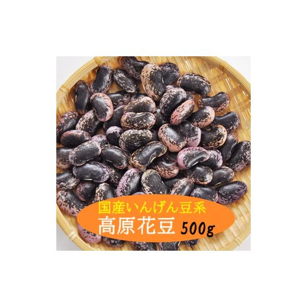 高原花豆とも呼ばれ、紫花豆が高原で育つ事で更に大粒なった豆です。伝子組み換えではありません。■名　　称：紫花豆（高原豆）■産　　地：長野県　山梨県■年　　産：令和６年■賞味期限：特に設定なし。収穫後２〜３年以内にお使い下さい。■保存方法：高...
