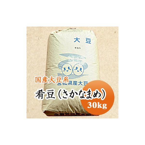 大粒で風味と甘味の強さがが特徴的です。名　　称：肴豆産　　地：宮城県年　　産：令和７年賞味期限：特に設定なし。収穫後２〜３年以内にお使い下さい。保存方法：高温多湿、直射日光を避けて保存して下さい。備　　考：遺伝子組み換えではありません◎ 特...