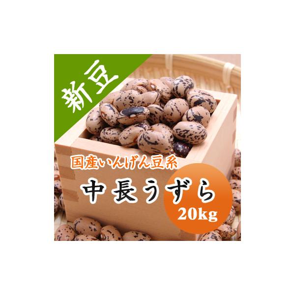 種皮の模様がうずらの卵に似ていることに由来します。遺伝子組み換えではありません。■名　　称：中長(ちゅうなが)うずら■産　　地：北海道■年　　産：令和７年■賞味期限：特に設定なし。収穫後２〜３年以内にお使い下さい。■保存方法：高温多湿、直射...