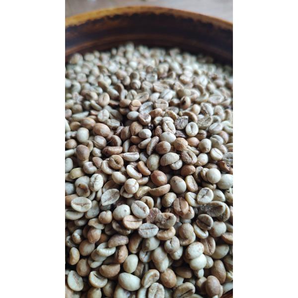 豆はかなり小粒です。アラビカ種に比べると、酸味や甘み、フローラルな香りが弱いので、ストレートで飲むには物足りなさを感じるかもしれません。反対に旨味やコクは強いので、焙煎は深煎りにして、マキネッタやエスプレッソメーカーなどで抽出して、ミルクや...