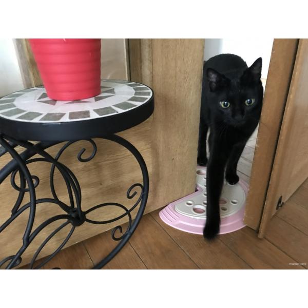 ☆ミルキーカラーシリーズ☆ ミルキーピンク● 足先で移動し手間なく約１２センチから１３センチの隙間を確保します。ドアストッパーを設置するたびに位置決め調整をする必要がなくなりました。またドア枠コーナー下に取り付けるため邪魔になりません。【ド...