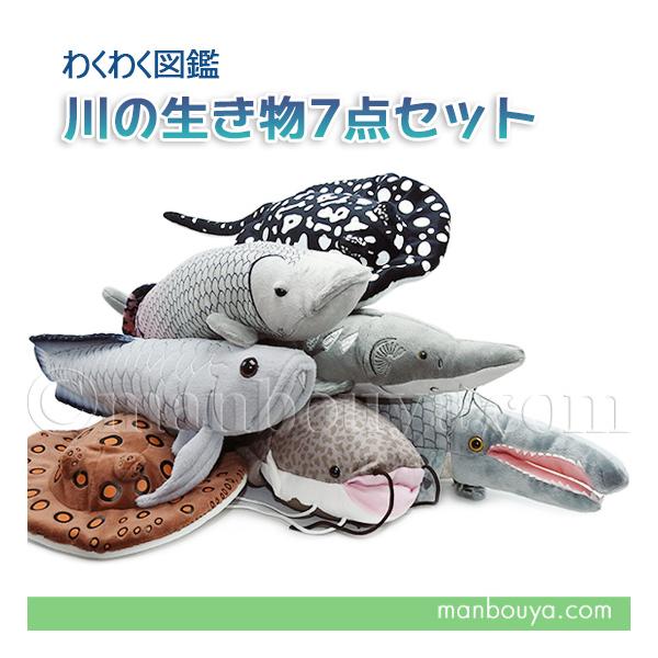 ※それぞれを単品でご購入いただいた場合の合計より10%OFFになっています。ぬいぐるみメーカーA-SHOWさんの「わくわく図鑑」シリーズから、淡水魚7点のセット。ナマズやアロワナ、アリゲーターガー、淡水エイなど、珍しいお魚がそろっています。...