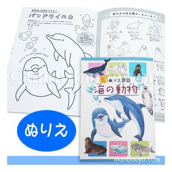 海の生物がいっぱいの楽しいぬり絵。それぞれの生態や特徴、似た動物の見分け方などの説明が入った図鑑タイプ。お魚ではなく、主に哺乳類や大型の動物がピックアップされています。こども向けの商品だと思うのですが、振り仮名はついているものの漢字が多く、...