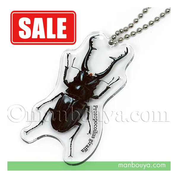 甲虫デザインのアクリルキーホルダー。大型の鍬形虫、ギラファノコギリクワガタです。透明なアクリル板に写真のようにリアルなイラスト。昆虫をそこに閉じ込めた標本のよう。表・裏ともに同じデザインが施されています。【サイズ】約縦6.3×横3.5cm【...