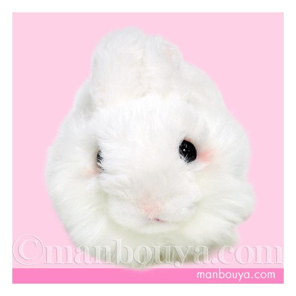 うさぎ ぬいぐるみ ウサギ キュート販売 CUTE ふわふわうさぎ S うさぎ ぬいぐるみ ウサギ キュート販売 CUTE ふわふわうさぎ S