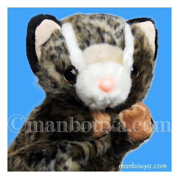キュート販売さんの沖縄シリーズ、イリオモテヤマネコのハンドパペット。子猫のような無邪気な表情でとてもかわいいです。尻尾もついて、耳の裏もちゃんと白くなっています。キュート販売さんのハンドパペットは、内側もふわふわの柔らかい生地でできています...