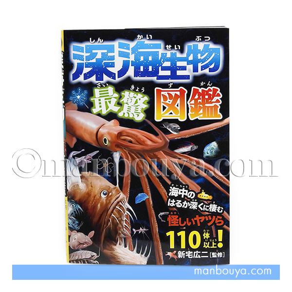 深海の生き物がいっぱい！なんと110種以上もの深海生物が写真とイラストで紹介されているハンドブックです。それぞれのページには学名、生息地、大きさ、説明の他、レア度や狂暴度なども入っています。子供向けの本としていますが、大人でも十分楽しめます...