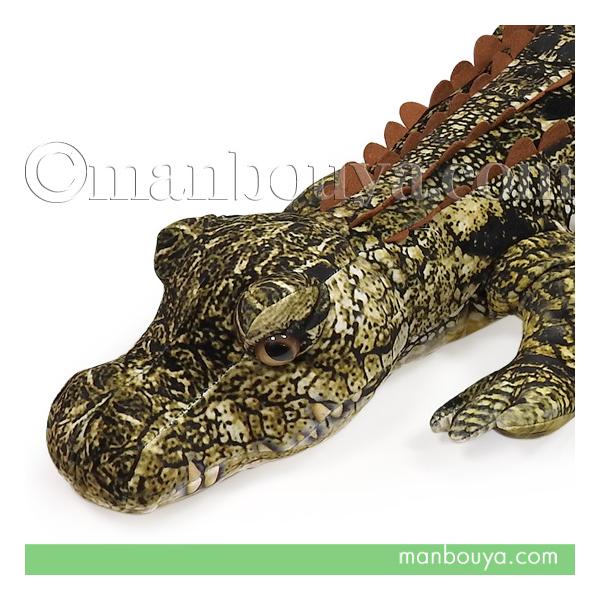 リアルな鰐のぬいぐるみ。動物の独特な色や柄を細部までプリントした生地を使用した Wild REALS（ワイルドリアル）シリーズ。大きいサイズで迫力がありますが、感触は柔らかくふわふわ。プレゼントにもおすすめです。【サイズ】約長さ90×幅21...