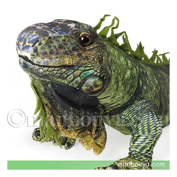大きいリアルなイグアナのぬいぐるみ。動物の独特な色や柄を細部までプリントした生地を使用した Wild REALS（ワイルドリアル）シリーズ。耳孔下の円形鱗や、顎下にぶら下がっている皮膚デューラップもなかなかリアル。背中のトゲがヘロヘロなのが...