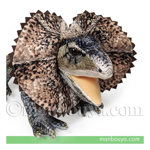 大きいリアルなエリマキトカゲのぬいぐるみ。動物の独特な色や柄を細部までプリントした生地を使用した Wild REALS（ワイルドリアル）シリーズです。名前の由来である襟巻のような首のフリルも迫力があります。感触は柔らかくふわふわ。プレゼント...