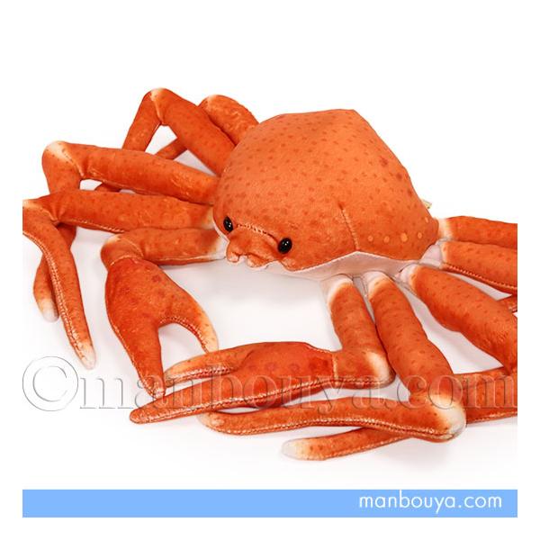 リアルな蟹のぬいぐるみ。テイクオフさんの「海と魚」シリーズです。メーカーでは種類を特定していませんが、ズワイガニがモデルだと思われます。足に針金などは入っておらず、関節も柔らかい為、持ち上げると足がだらんと下に垂れます。大きなハサミになにか...