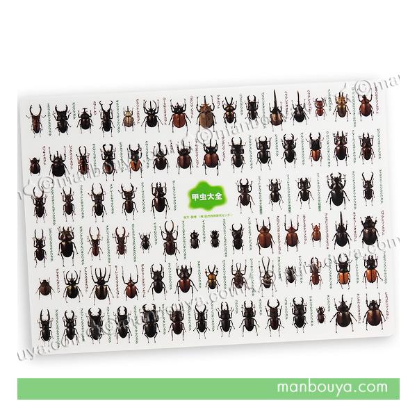 森の甲虫カブトムシ・クワガタ80種類の標本画像が入った、A4サイズ下敷き。裏面にはそれぞれの生き物の名前と説明が入った図鑑タイプです。株式会社自然教育研究センター協力・監修のリアルな絵柄。玩具メーカー「ザ・アクセス（TheACCESS)」さ...