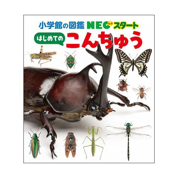 作者 : 田島木綿子出版社 : 小学館