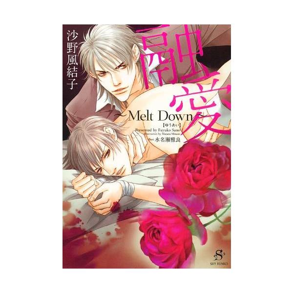 作者 : 沙野風結子／水名瀬雅良出版社 : 大洋図書版型 : 文庫版