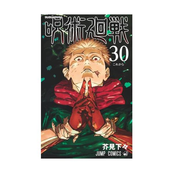 作者 : 芥見下々出版社 : 集英社