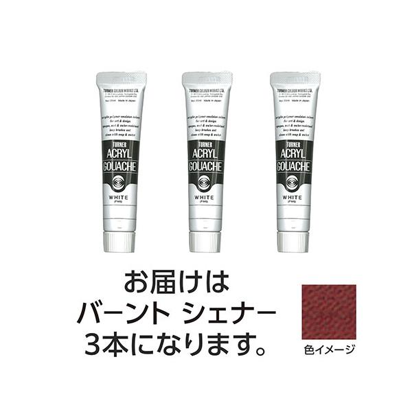 TURNER108440X5 豊富な色数を誇るアクリル絵具の定番! ※詳細は商品説明をご確認下さい。商品ページは縦長です。