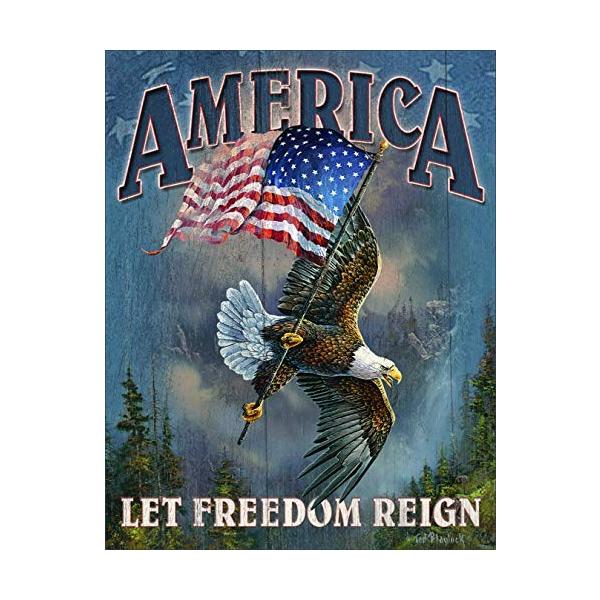 壁飾り インテリア タペストリー 壁掛けオブジェ 海外デザイン アメリカ 輸入物 TSN1668 Desperate Enterprises America - Let Freedom Reign Tin Sign, 12.5" W x 1...