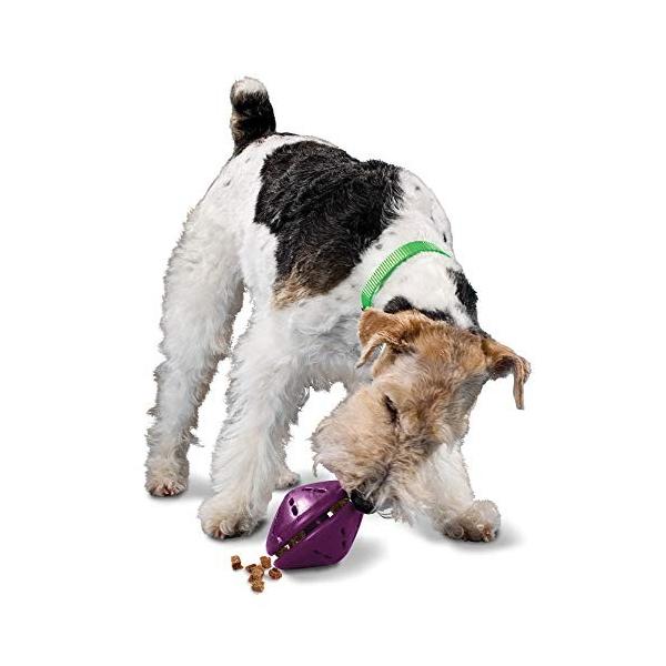 犬おもちゃ ドッグトイ トレーニング BB-TNT-M PetSafe Busy Buddy Twist 'n Treat Dispensing Dog Toy - Medium,Purple,Large Breeds海外限定品を迅速輸入！...