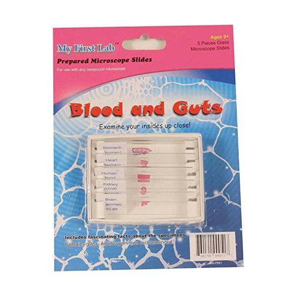マイファーストラボ 知育玩具 科学 パズル ブロック PS51 Microscope Prepared Slide Set - Blood &amp; Guts (5 Slides)海外限定品を迅速輸入！5〜15営業日にて発送します。商品名...