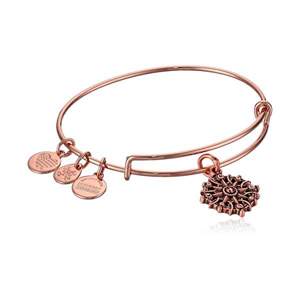 アレックスアンドアニ アメリカ アクセサリー ブランド かわいい おしゃれ  A17EB07ROGSR Alex and Ani Path of Symbols Expandable Bangle for Women, Compass Ch...