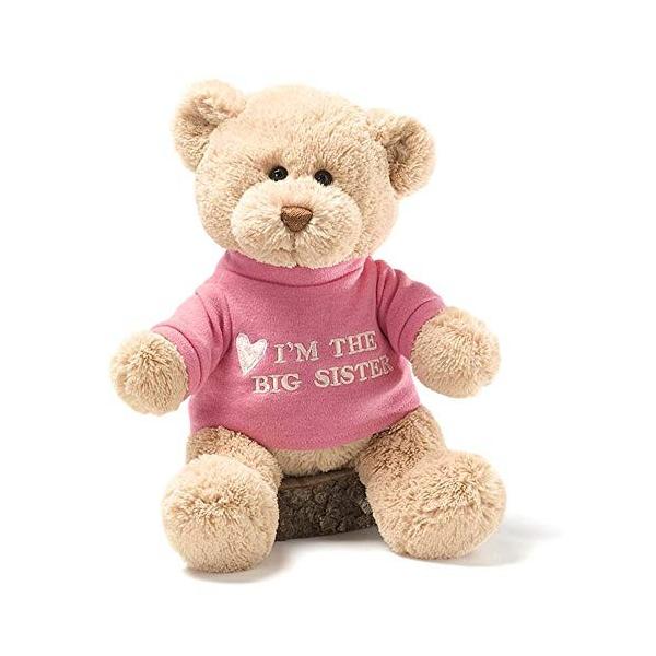 ガンド GUND ぬいぐるみ リアル お世話 かわいい 6047554 GUND “I’m The Big Sister” Message Bear with Pink T-Shirt, Teddy Bear Stuffed Animal ...