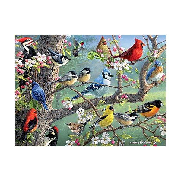 ジグソーパズル 海外製 1000ピース 果樹園の鳥 ハウトマンブラザーズ サイズ約68x50センチ 絵画・アート Buffalo Gamesジグソーパズル 海外製 アメリカ 11201 Buffalo Games - Birds in an...