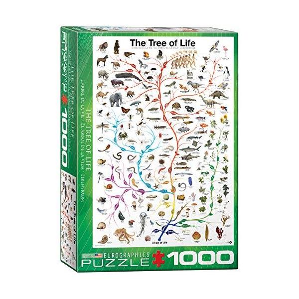 ジグソーパズル 海外製 アメリカ EUROPZ-0282 Eurographics Evolution The Tree of Life 1000-Piece Puzzle , Green海外限定品を迅速輸入！5〜15営業日にて発送します。...