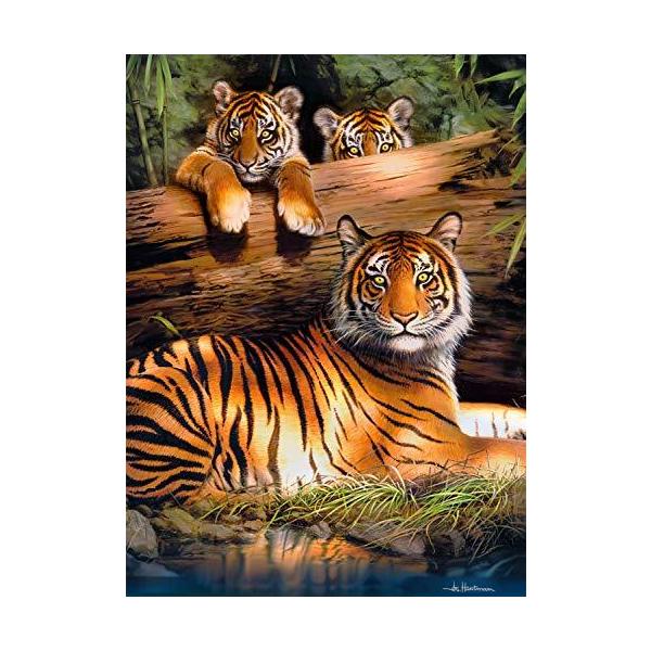 ジグソーパズル 海外製 アメリカ 11194 Buffalo Games - Hautman Brothers - Quiet Fire - 1000 Piece Jigsaw Puzzle海外限定品を迅速輸入！5〜15営業日にて発送します...