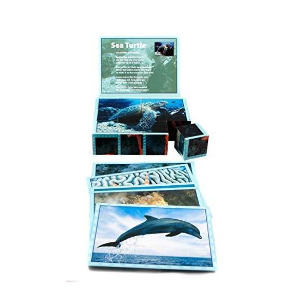 ジグソーパズル 海外製 アメリカ CLM410 Stages Learning Real Picture Sea Life Wooden Cube Language Builder Preschool Puzzle (12 Piece)海外...