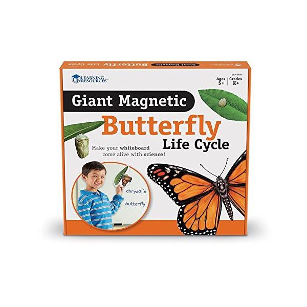知育玩具 パズル ブロック ラーニングリソース LER6043 Learning Resources Butterfly Life Cycle, 9 Write and Wipe Pieces, Classroom Accessories,...
