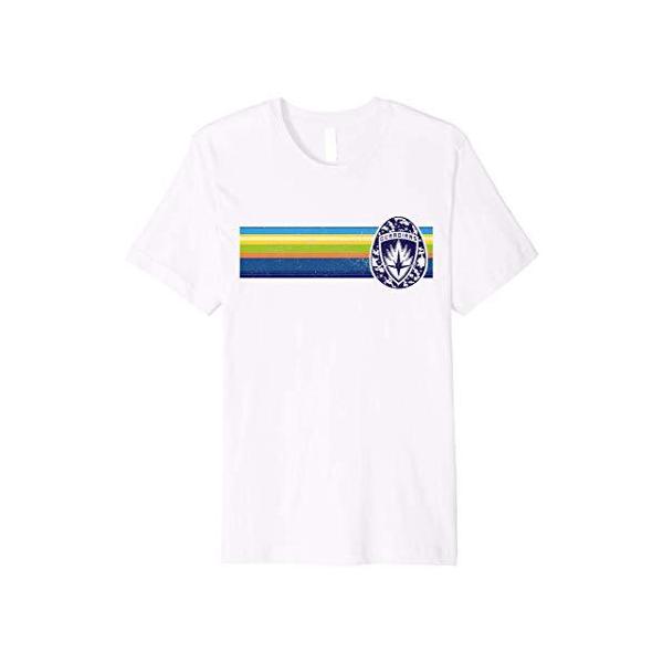マーベル Maevel ガーディアンズオブギャラクシーのストライプイースターエッグ 半袖Tシャツ キッズ6-6x 【日本サイズ110-120相当】 ホワイト ファッション トップス アメリカTシャツ キャラクター ファッション トップス 海...