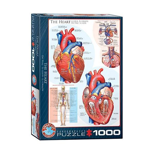 ジグソーパズル 海外製 アメリカ 6000-0257 EuroGraphics Human Body (The Heart) Puzzle (1000-Piece) , Blue海外限定品を迅速輸入！5〜15営業日にて発送します。型番：60...