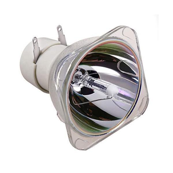 プロジェクターランプ ホームシアター テレビ 海外 輸入 PHUH-240-E20.9-G1 Araca BL-FU195A /BL-FU195B /BL-FU195C /BL-FU190E /RLC-100 /5J.J9R05.001 R...