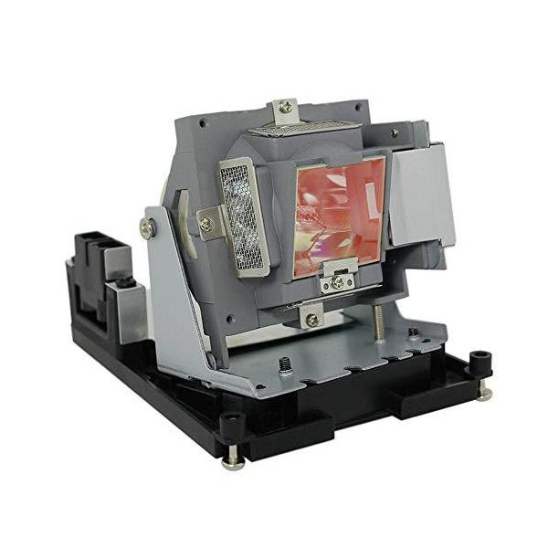 プロジェクターランプ ホームシアター テレビ 海外 輸入  CTBAIER BL-FU310B//5811118436-SVV Replacement Projector Lamp Bulb for OPTOMA EH500 X600 DH...