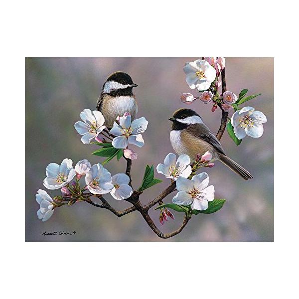ジグソーパズル 海外製 アメリカ 43796 Bits and Pieces - 1000 Piece Jigsaw Puzzle for Adults - Cherry Blossom Chickadees - 1000 pc Sprin...