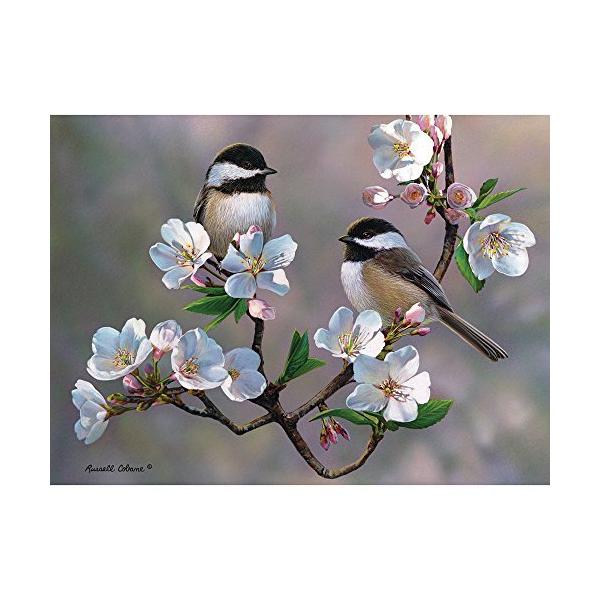 ジグソーパズル 海外製 アメリカ 43795 Bits and Pieces ? Large 300 Piece Jigsaw Puzzle for Adults ? Cherry Blossom Chickadees - Spring B...