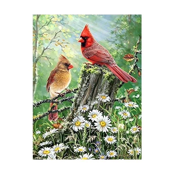 ジグソーパズル 海外製 アメリカ 33-01581 Springbok's 500 Piece Jigsaw Puzzle Golden Light - Made in USA海外限定品を迅速輸入！5〜15営業日にて発送します。型番：33-...