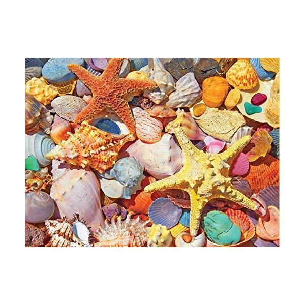 ジグソーバズル 海外製 500ピース ビーチシェル サイズ約46×60センチ 絵画・アート White Mountain Puzzlesジグソーパズル 海外製 アメリカ 0724819262588 White Mountain Puzzle...