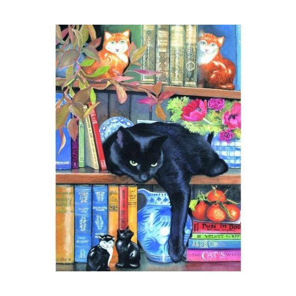 ジグソーパズル 海外製 アメリカ 59367 SUNSOUT INC - On The Shelf - 1000 pc Jigsaw Puzzle by Artist: Chrissie Snelling - Finished Size 2...