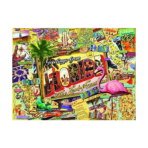 ジグソーパズル 海外製 アメリカ 70021 SUNSOUT INC - Florida - 1000 pc Jigsaw Puzzle by Artist: Kate Ward Thacker - Finished Size 20" x ...