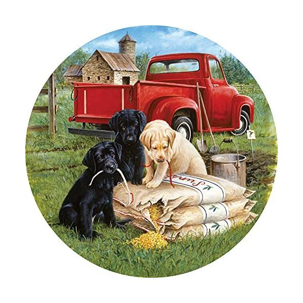 ジグソーパズル 海外製 アメリカ 73441 SUNSOUT INC - Seeds of Mischief - 500 pc Round Jigsaw Puzzle by Artist: Jim Killen - Finished Siz...