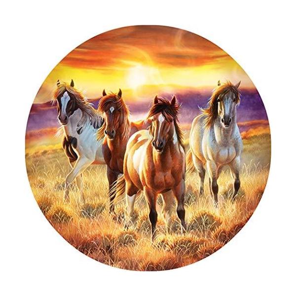ジグソーパズル 海外製 アメリカ 70997 SUNSOUT INC - Running in The Sun - 500 pc Round Jigsaw Puzzle by Artist: Cynthie Fisher - Finishe...