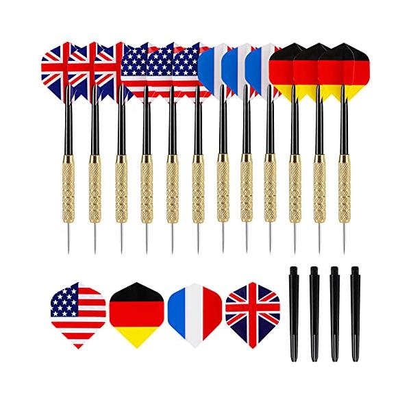 海外輸入品 ダーツ  Accmor 12pcs Steel Tip Darts Set, 18 Grams Professional Metal Darts, Metal Tip Darts with 4 Extra Nylon Shaft...